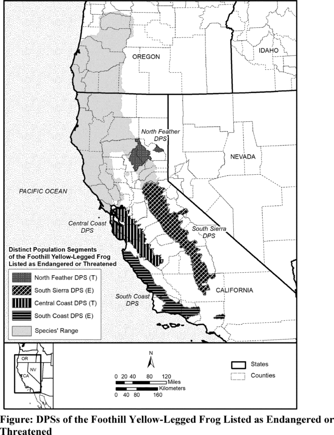 Four Populations of Foothill Yellow-Legged Frog Listed as Endangered or ...